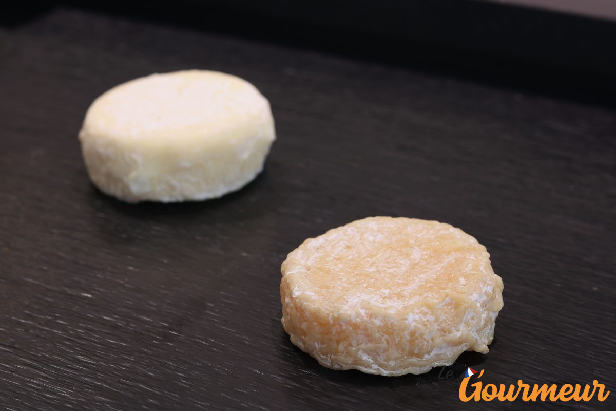 Fromage de chèvre région d'Avignon en Provence